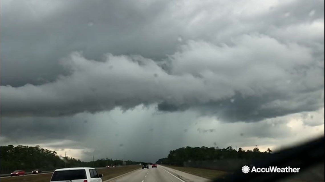Storms dump rain on Everglades | wltx.com