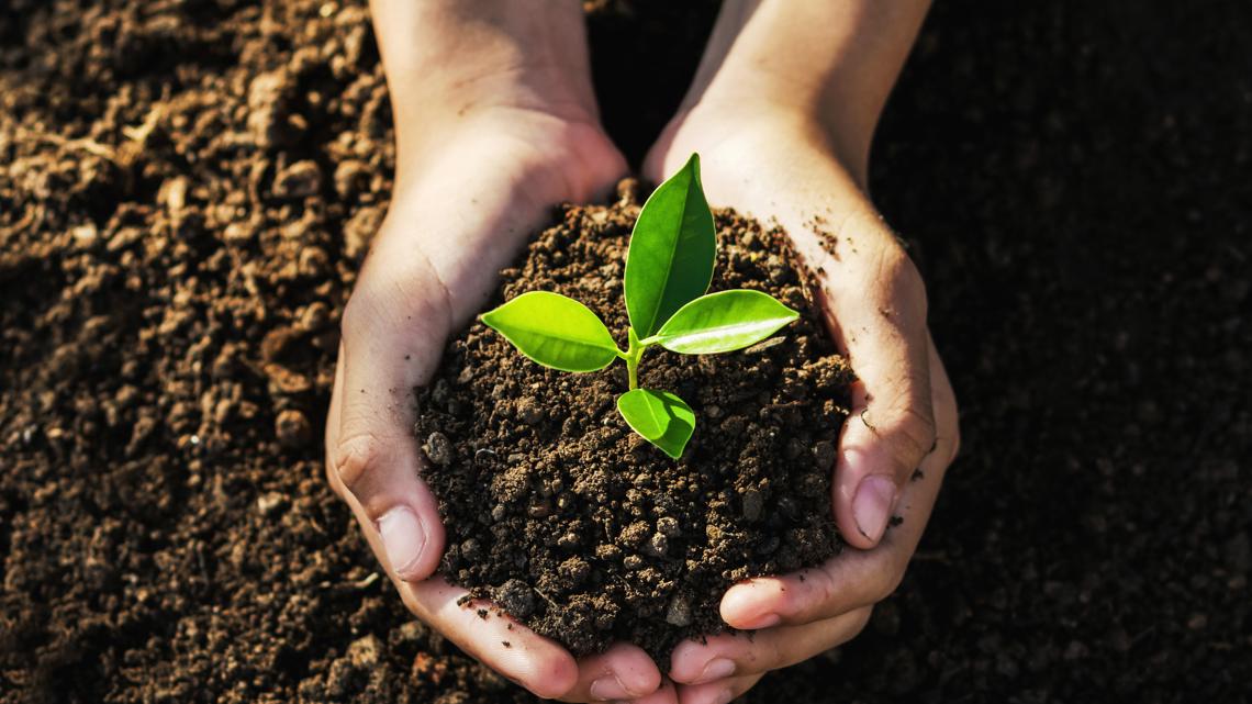 Alexander Dickey, man charged with killing Logan Federico, appears in ...