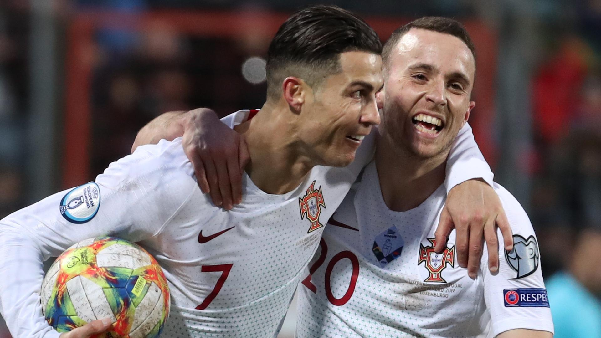 Pepe the Gator blocks traffic in Onslow County, North Carolina | wltx.com