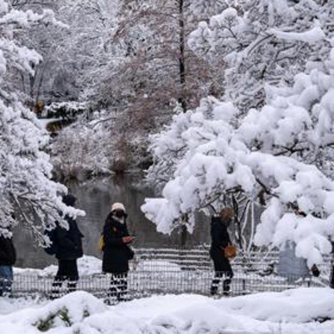 Gather COLA aims to bring 'magic' with opening on December 5 | wltx.com