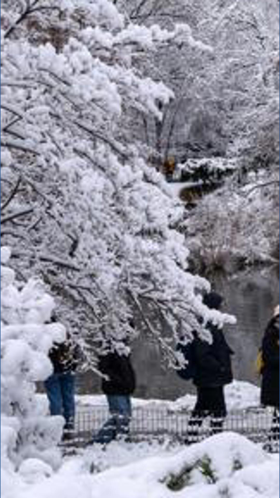 Gather COLA aims to bring 'magic' with opening on December 5 | wltx.com