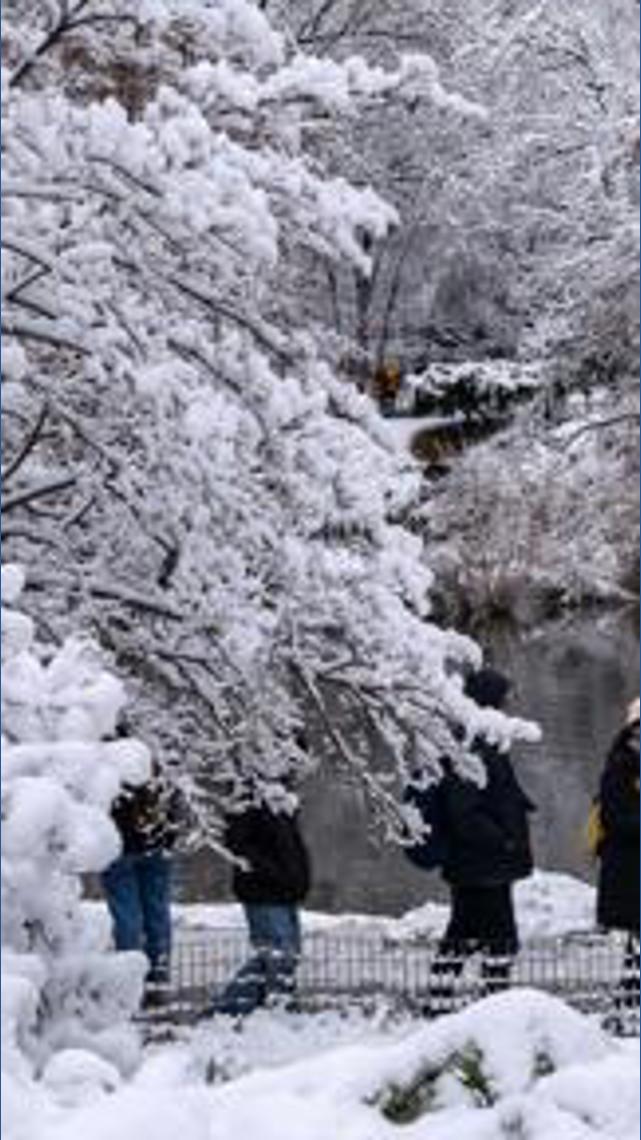 Inmate dies after assault at Lee Correctional Institution, SCDC says ...