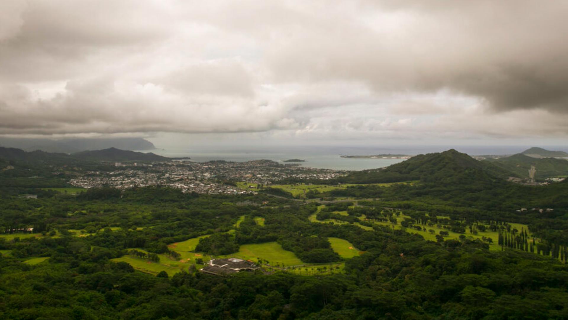 Crime | WLTX.com | wltx.com