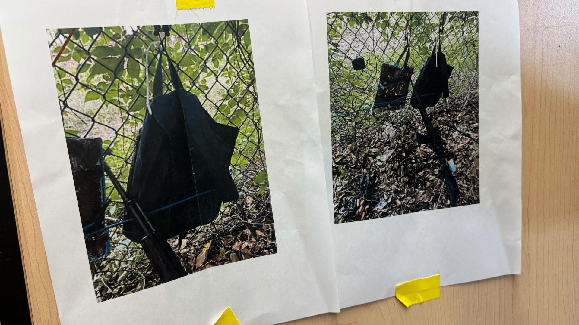 Trump safe after apparent assassination attempt in Florida: FBI | wltx.com