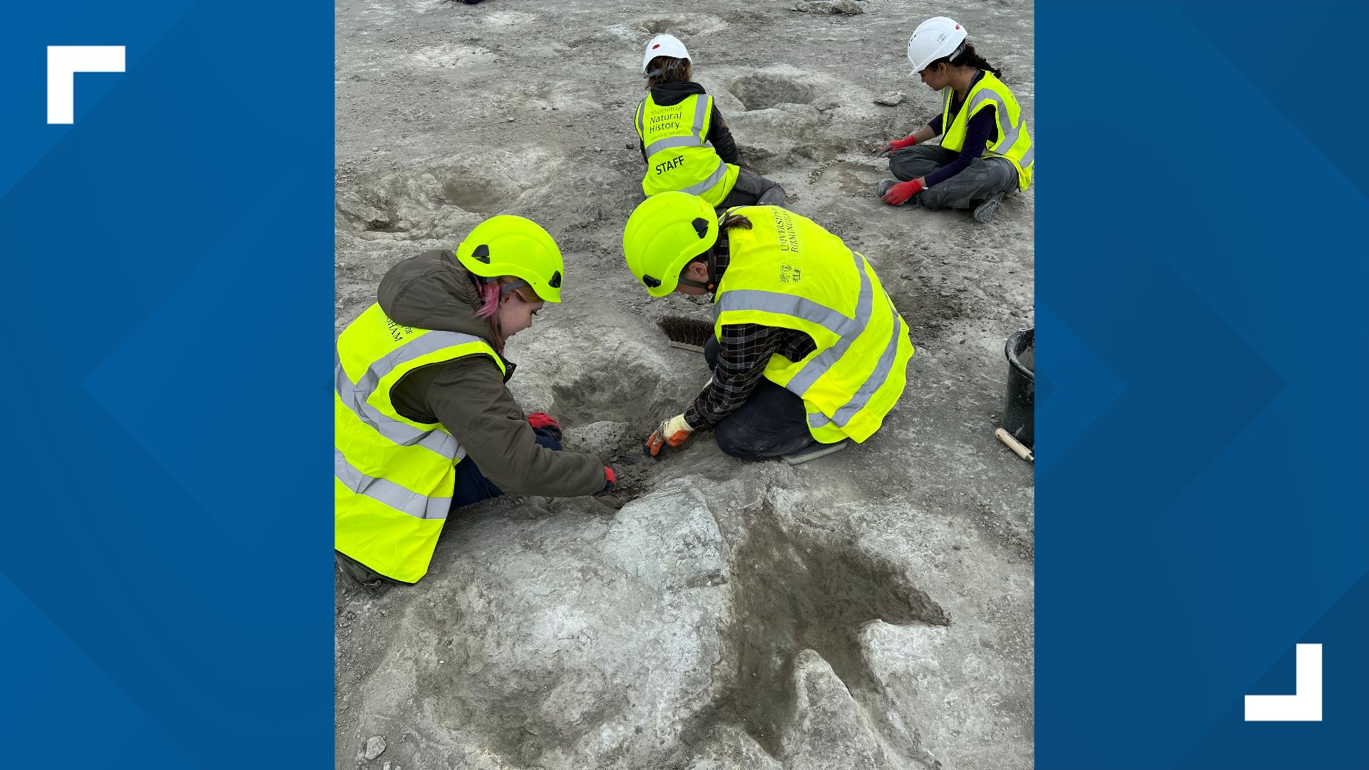 Researchers discovered 'dinosaur highway' tracks dating back 166 ...