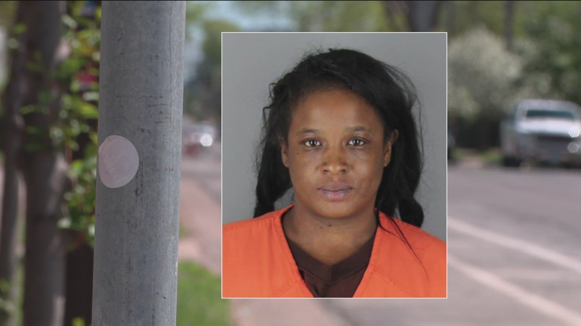 Minneapolis woman faces nine assault charges in hit-and-runs | wltx.com