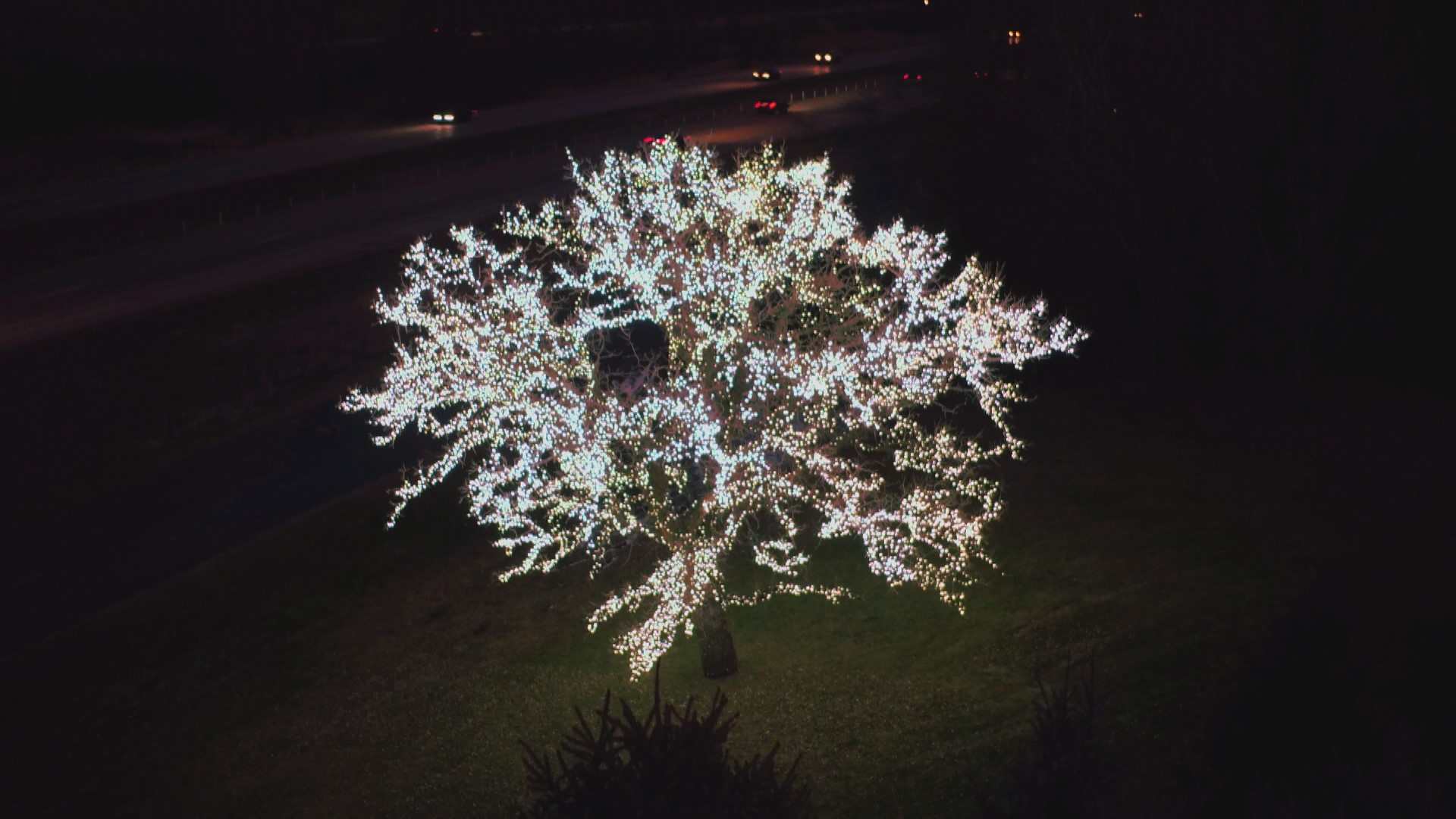 Stunning tree of lights is gift to I-35 holiday travelers | wltx.com