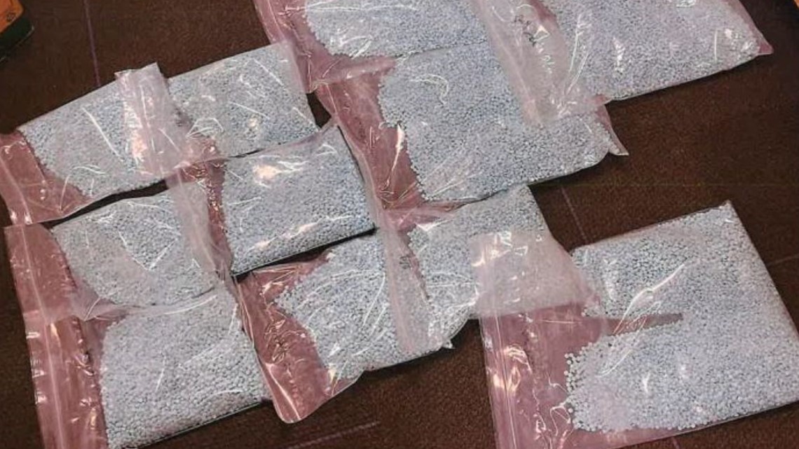 St. Paul man sentenced for smuggling fentanyl in stuffed animals | wltx.com