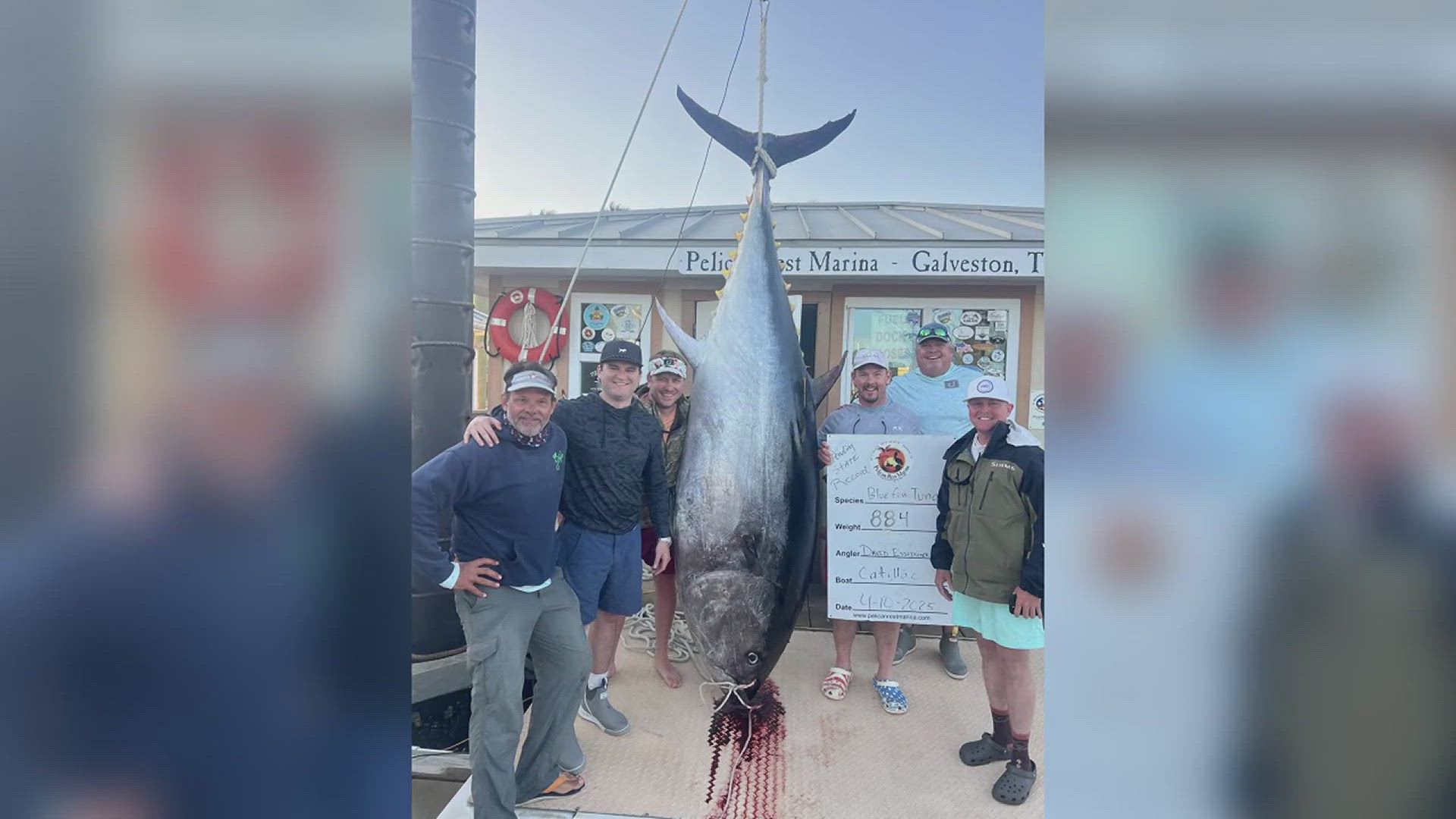 Port Arthur man hauls in record breaking 884 pound Bluefin Tuna | wltx.com