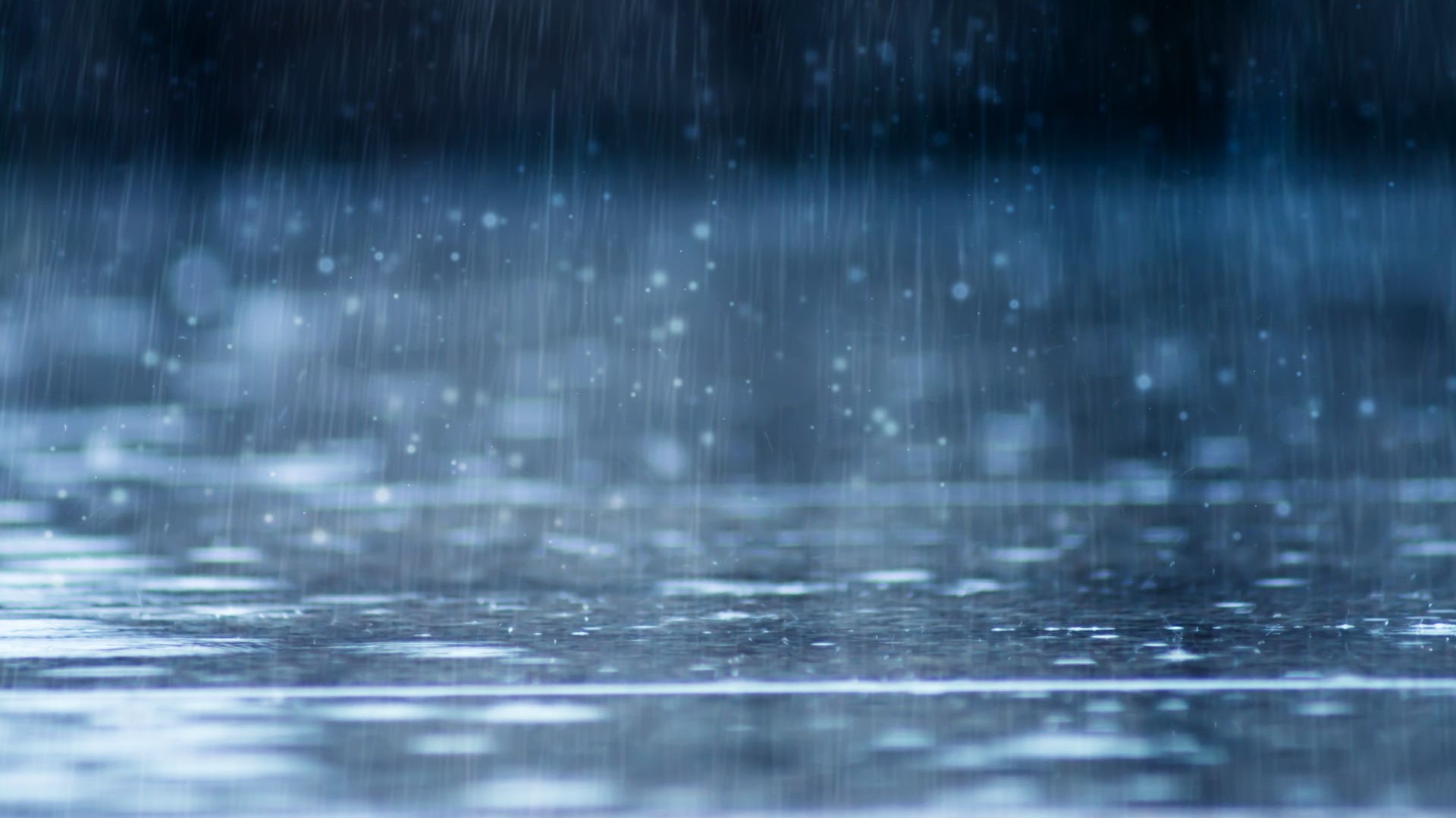 Heavy rain and thunderstorms expected across much of South Carolina ...