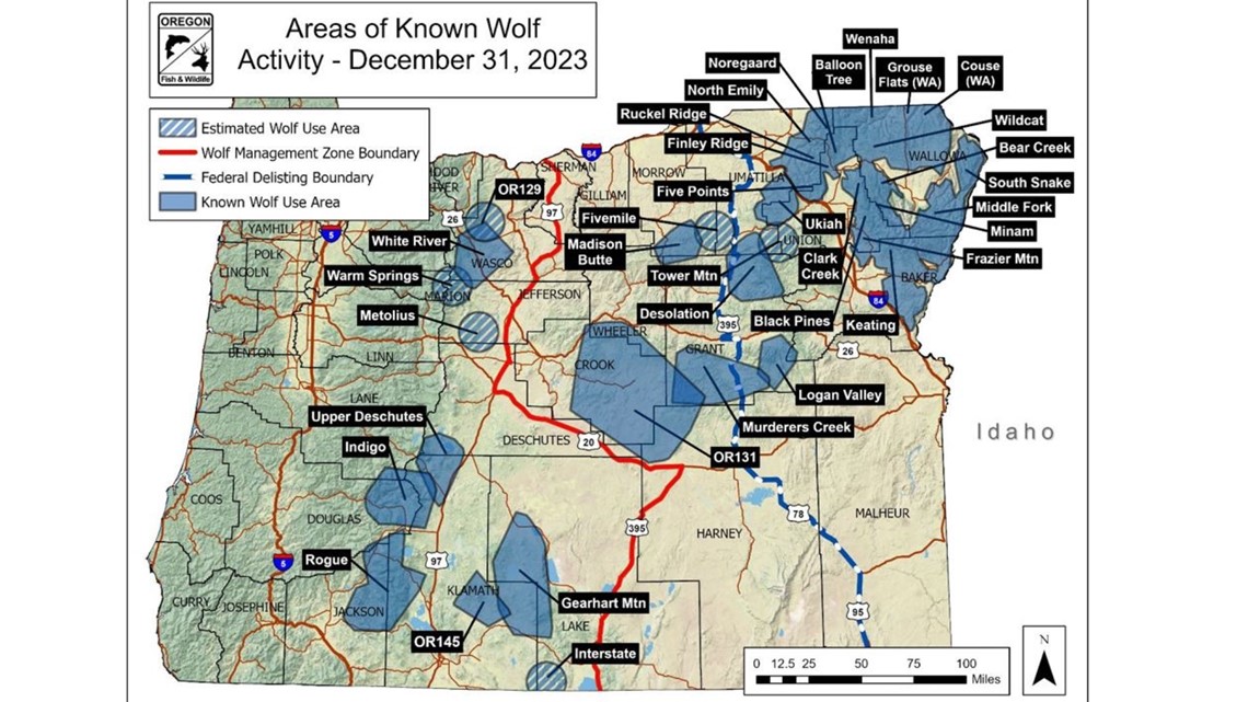 Oregon wolf population unchanged in 2023, report finds | wltx.com