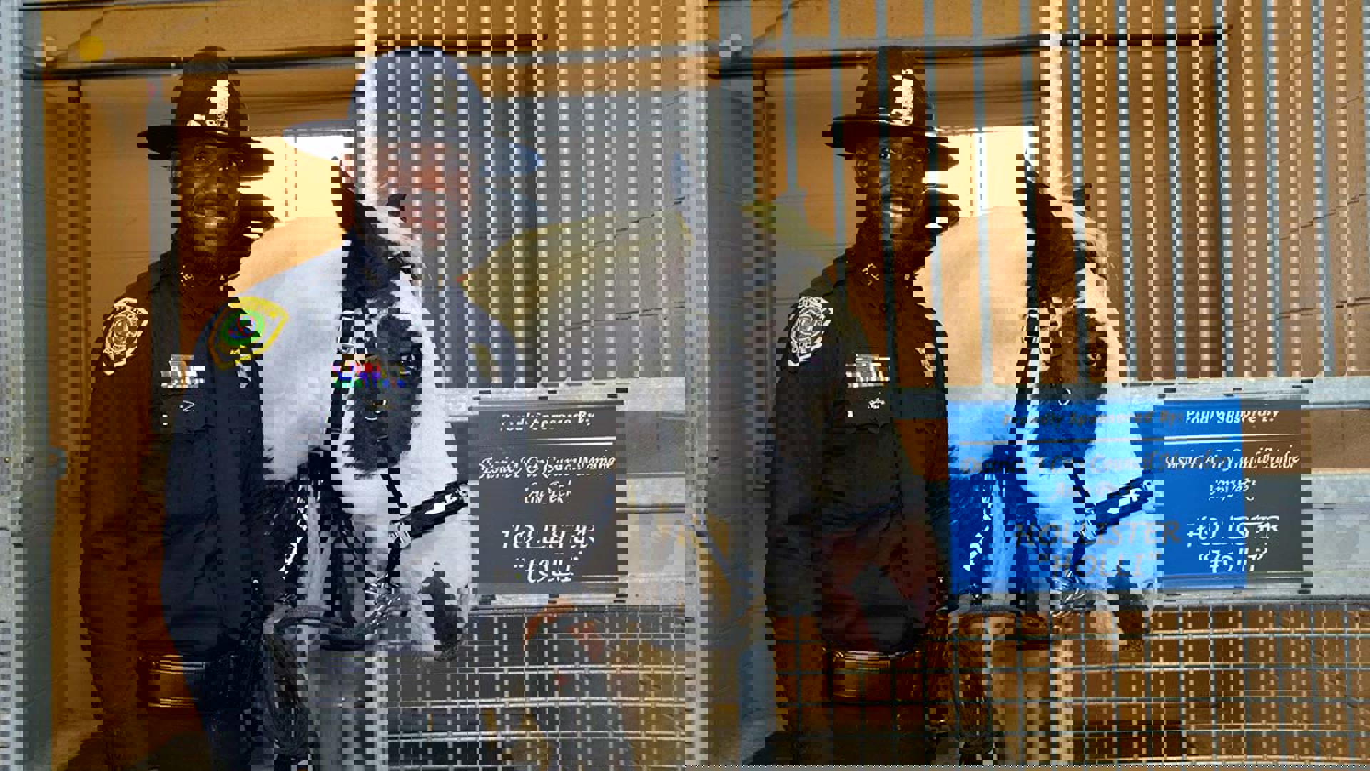 Houston Police Department Mounted Patrol horse dies at 15 | wltx.com