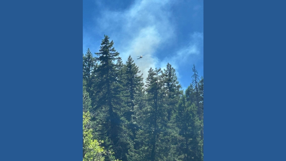 Pilot safe after military aircraft crashes in Washington state | wltx.com