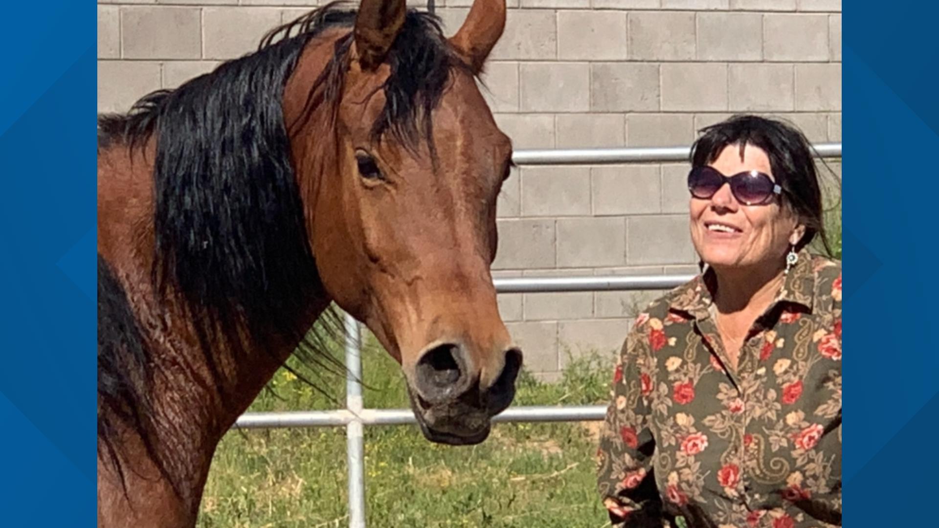 Phoenix flight attendant Celinda Levno killed during Denver layover ...