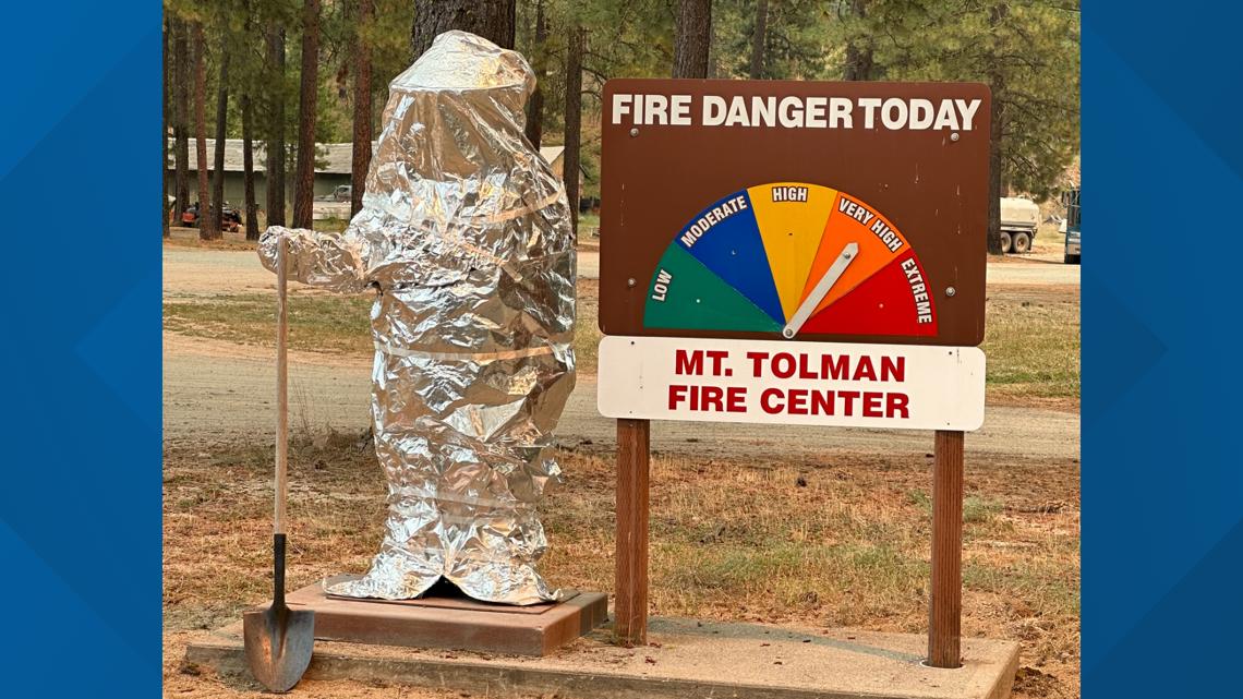 Smokey Bear statue protected from Swawilla Fire | wltx.com