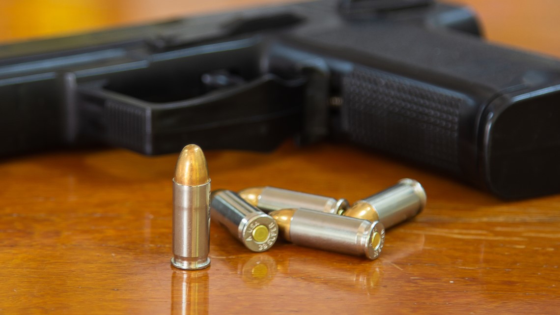 SC law enforcement officers urge parents to keep guns locked up | wltx.com