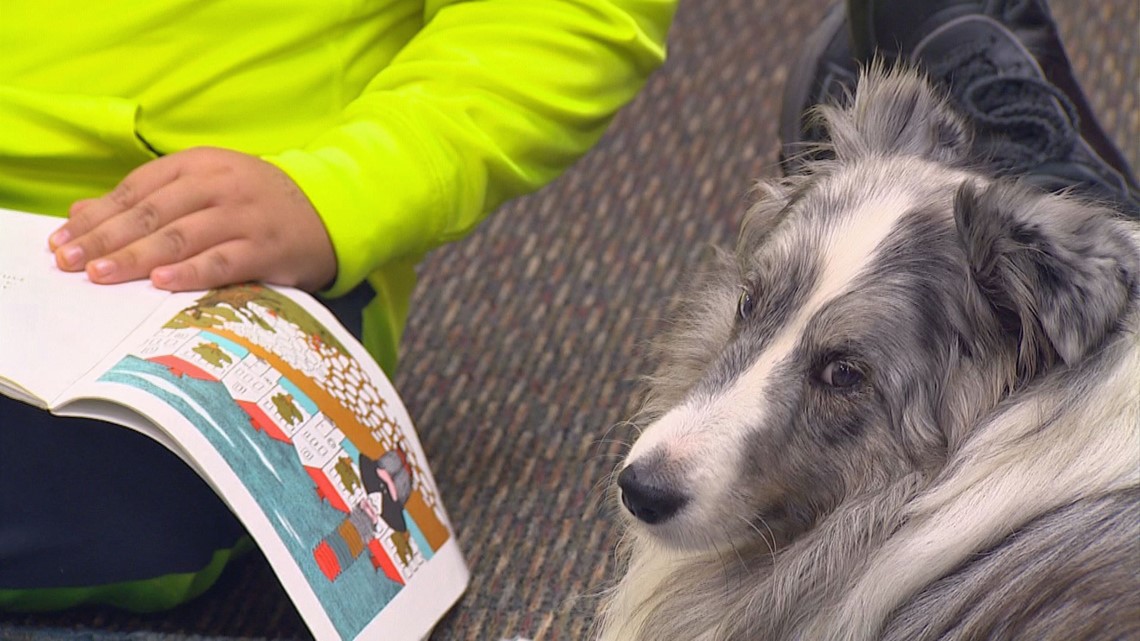 Children practice reading skills with therapy dogs | wltx.com