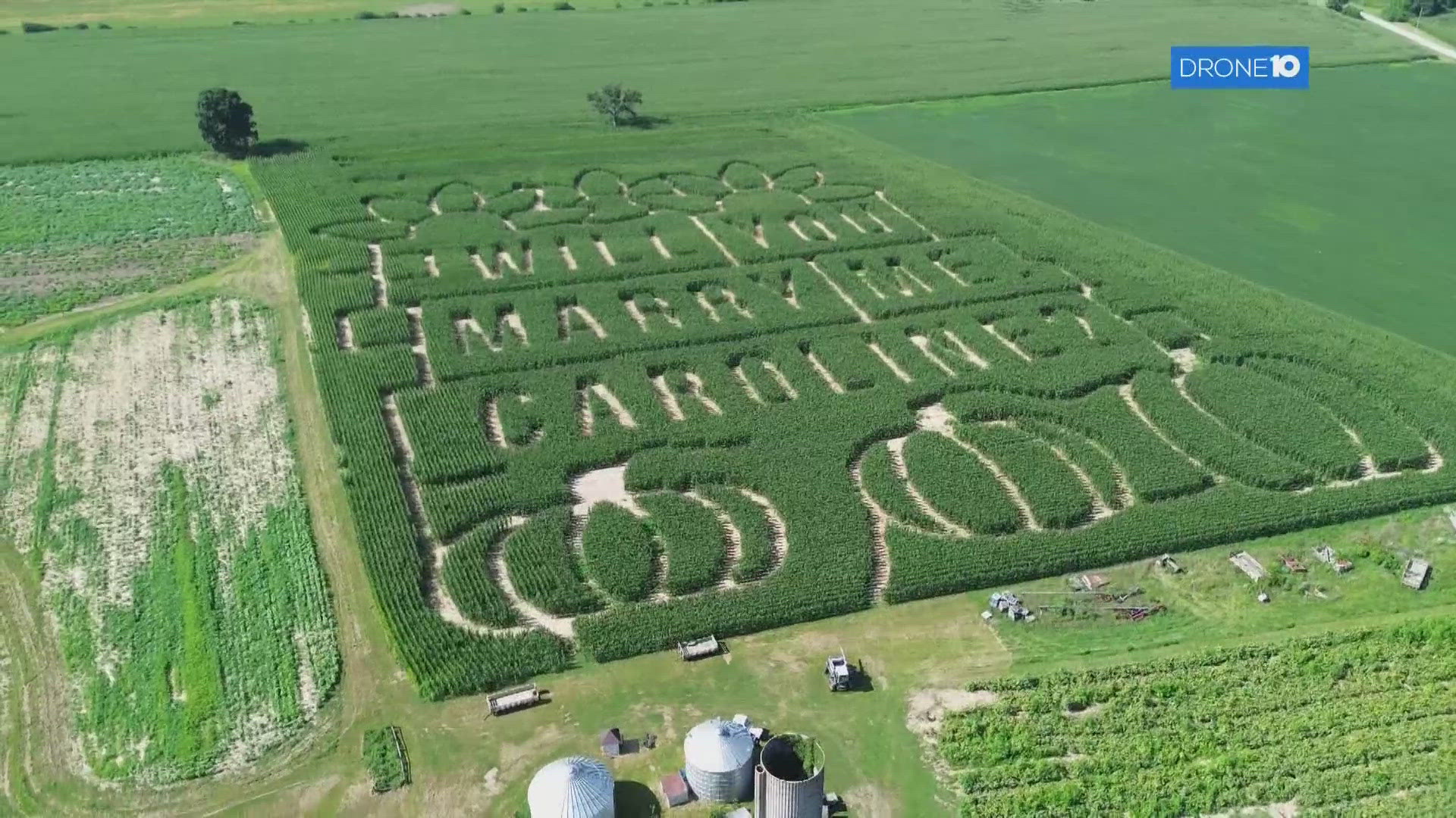 Farmer plants cornfield proposal, surprises girlfriend from the sky ...