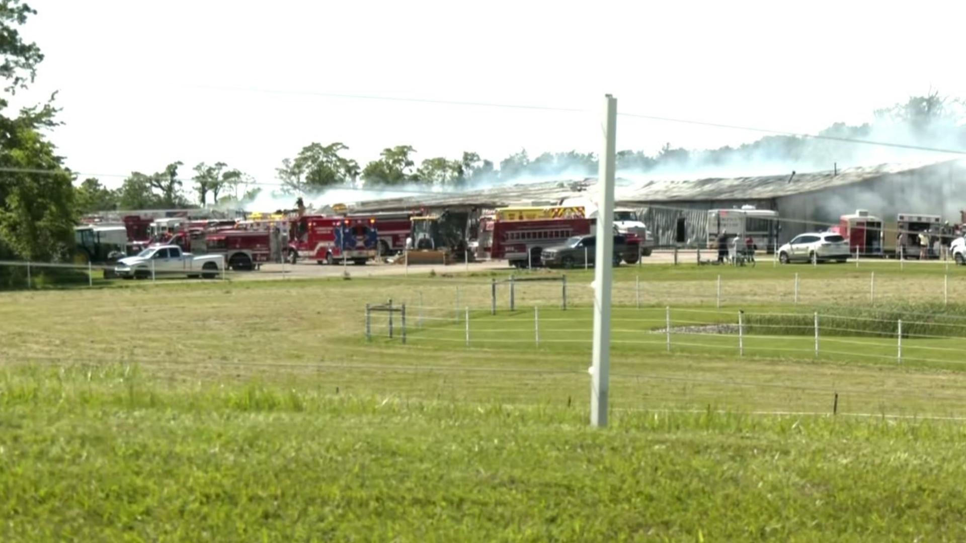 Ohio barn fire kills 43 horses | wltx.com