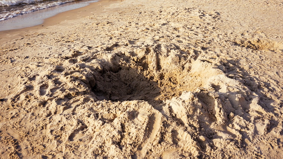 Why officials want people to be careful when digging sand holes | wltx.com