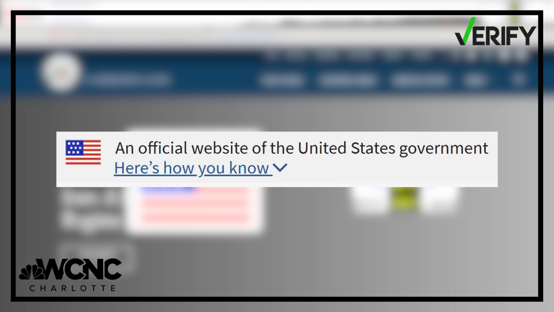 VERIFY | American flag icon on federal government websites | wltx.com