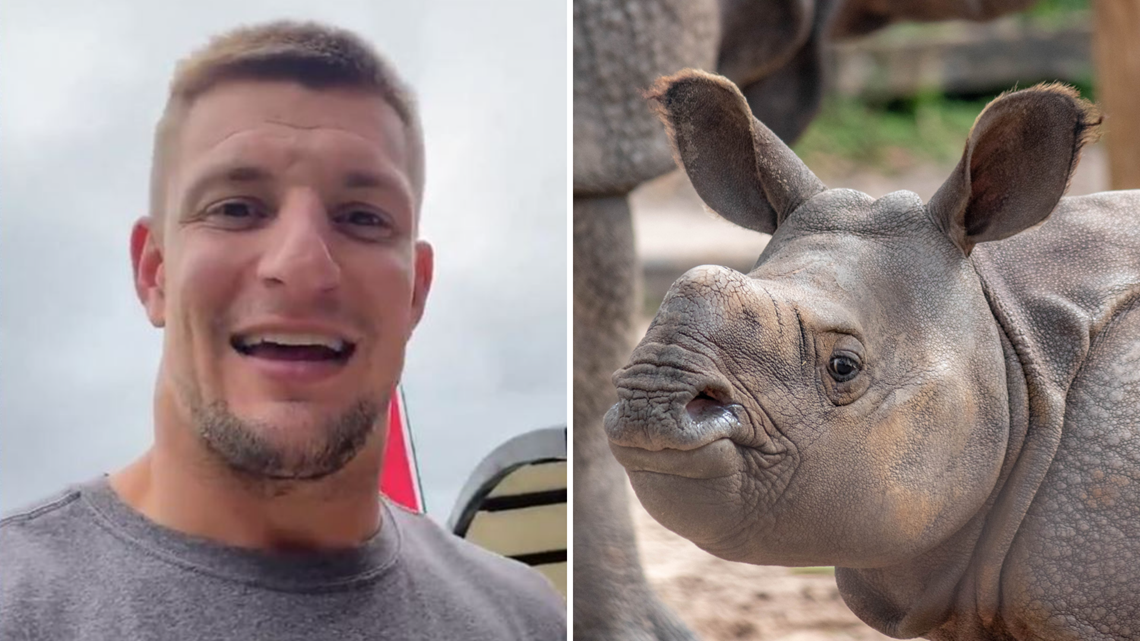 Rob Gronkowski is very proud of his baby rhino | wltx.com