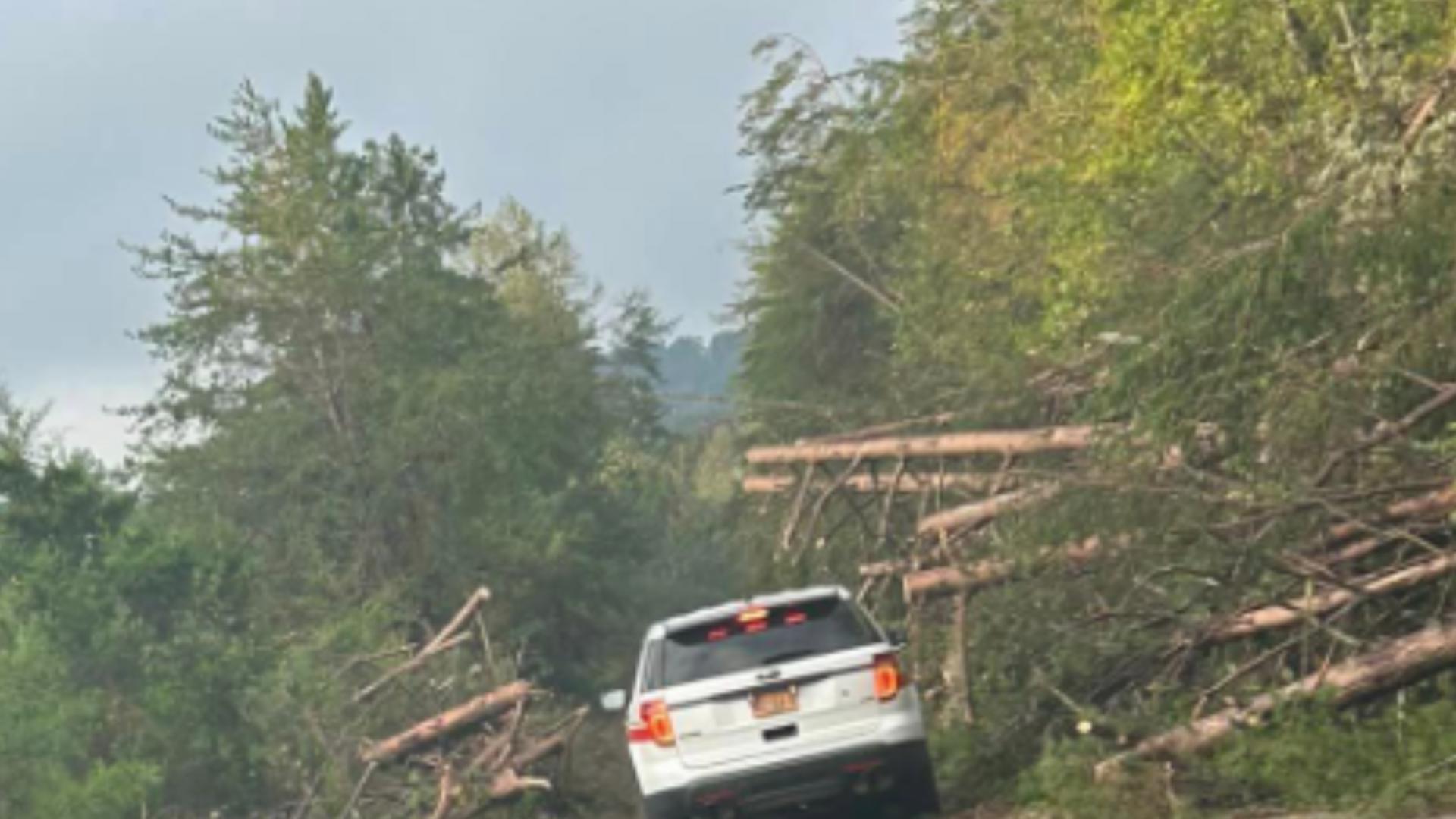 4 rescued, 106 evacuated in Chimney Rock area | wltx.com