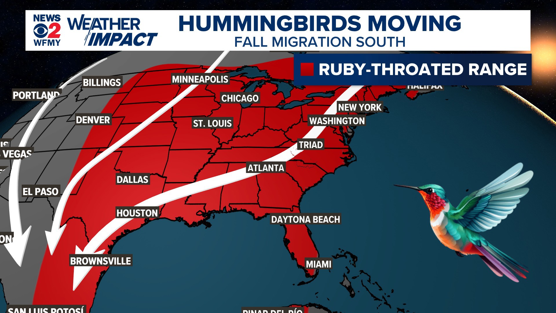 Ruby-throated hummingbirds migrate through North Carolina this ...