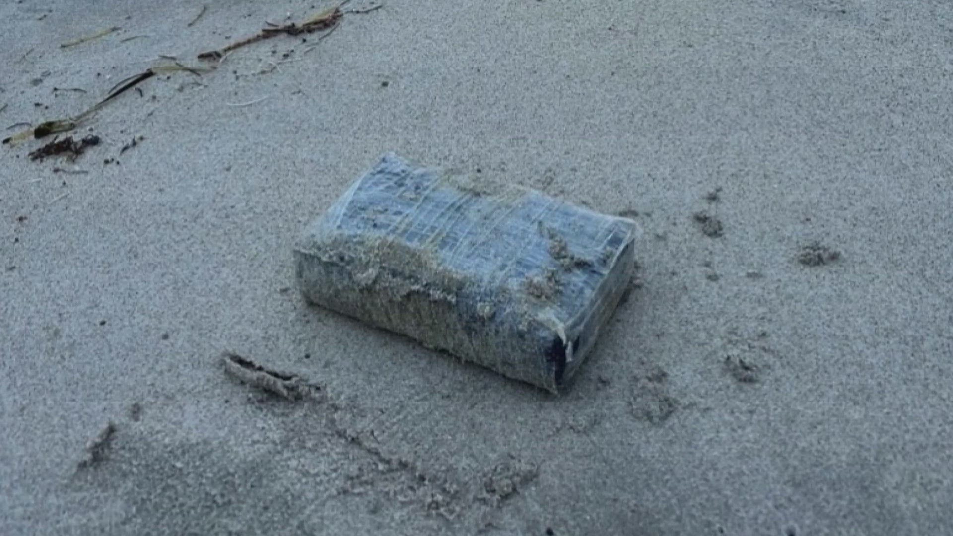 Kilo of cocaine found on vacation. What do you do? | wltx.com