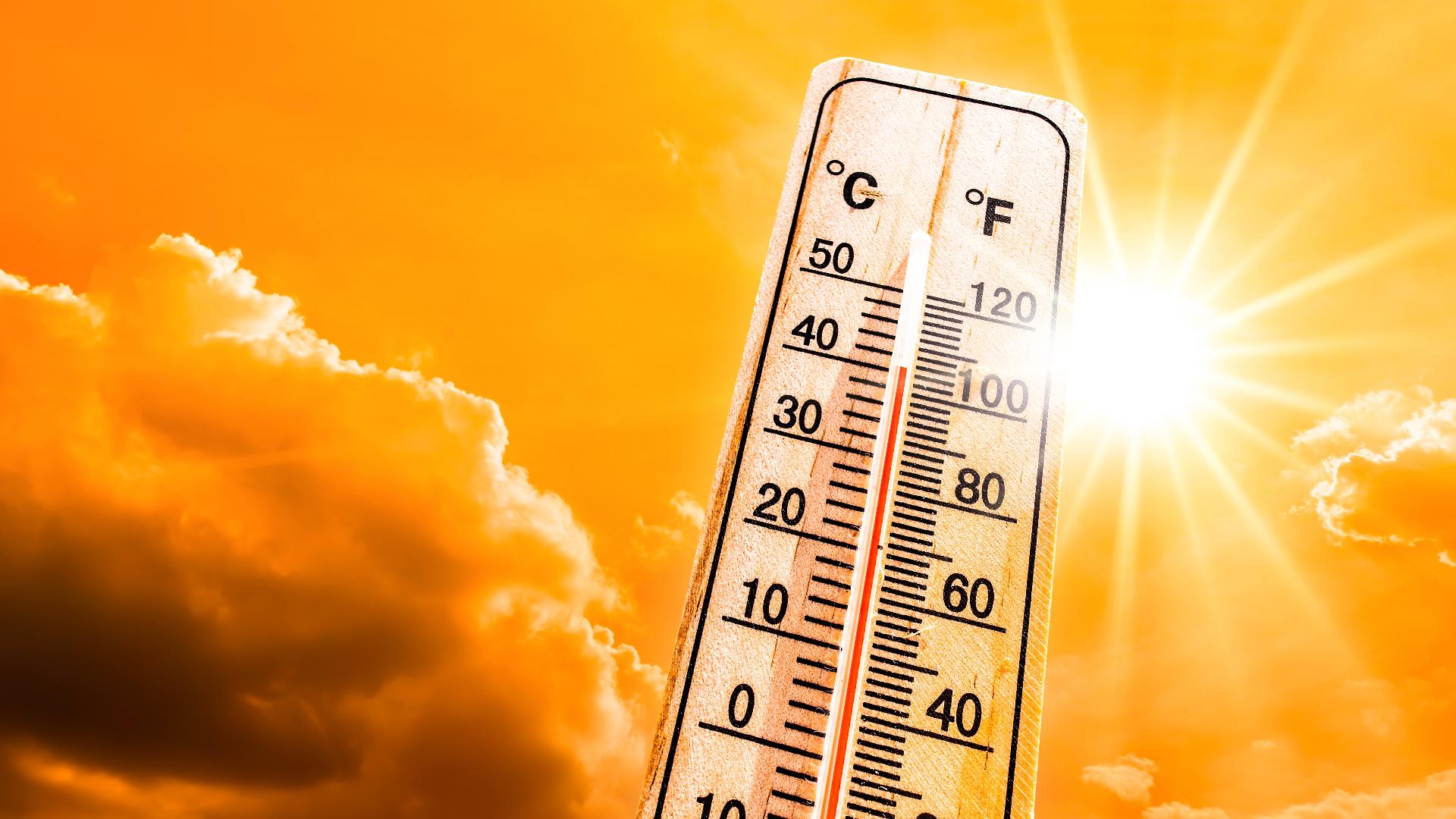 Southeast US braced for intense summer heat and humidity | wltx.com