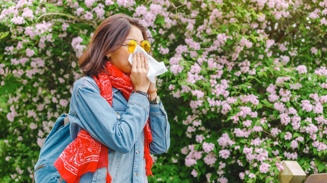Allergy group ranks Columbia, South Carolina poorly | wltx.com