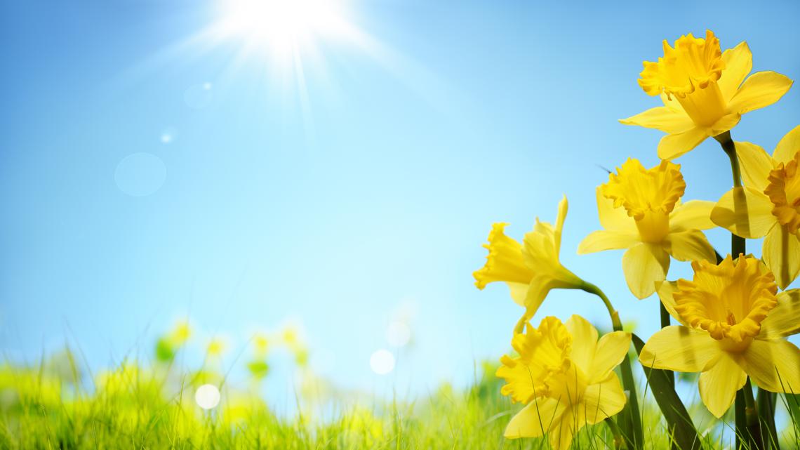 Columbia Weather Radar | Columbia, South Carolina | wltx.com