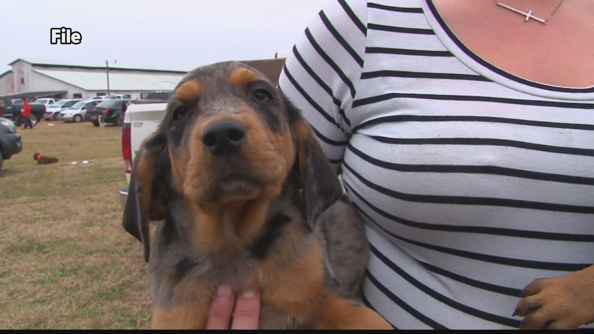 56th annual Grand American Coon Hunt to kick off | wltx.com