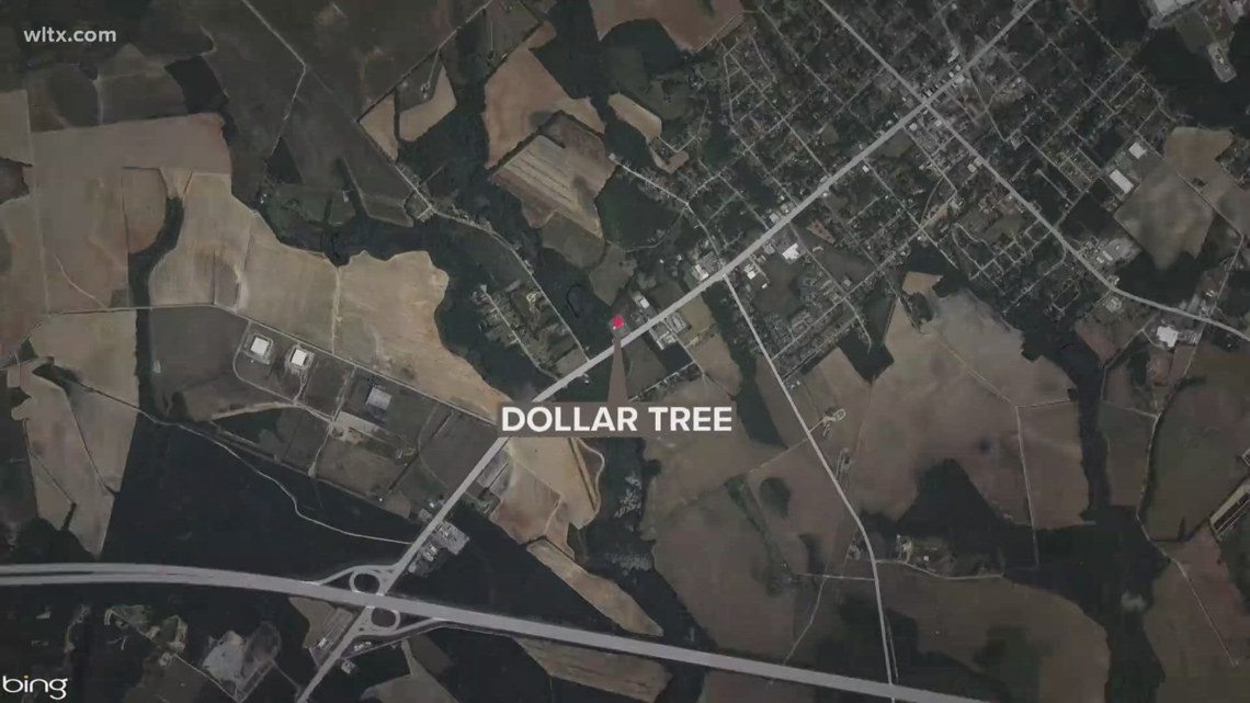 Dollar Tree fight in Bishopville ends in crash, 5 arrests on Sunday ...
