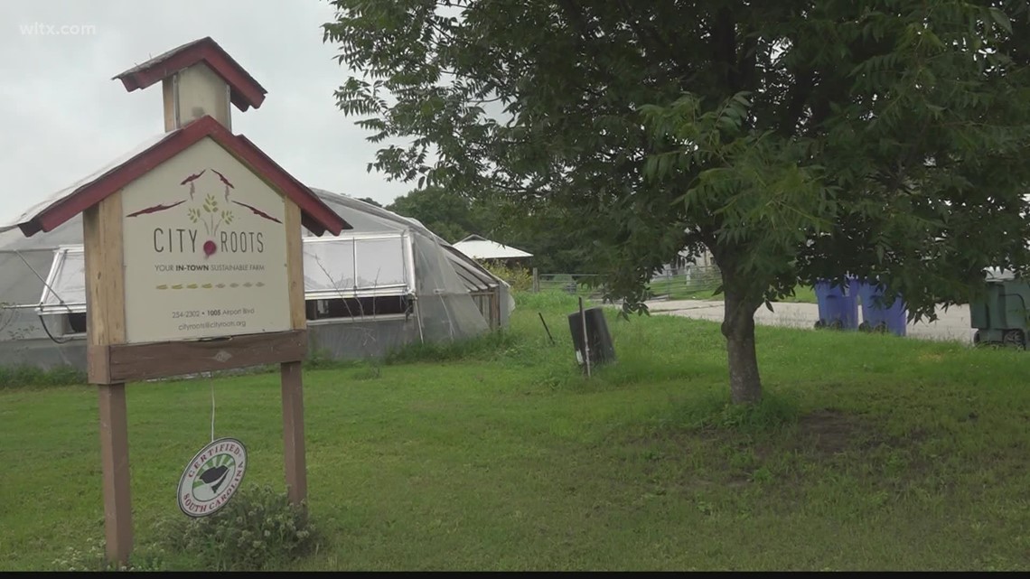 Columbia's City Roots urban farm to expand in Richland County | wltx.com