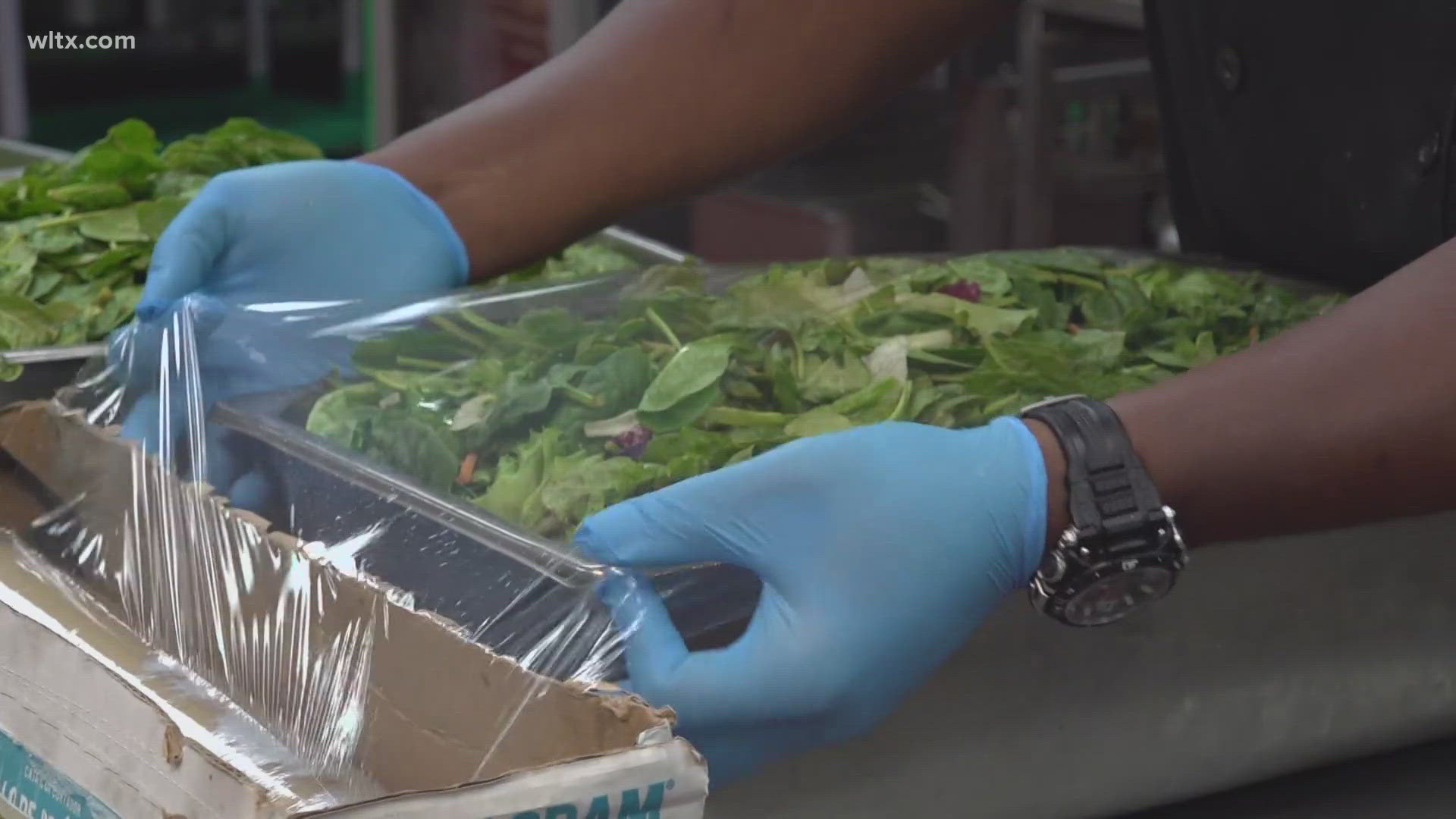 Harvest Hope joins Transitions to serve 600 daily meals | wltx.com