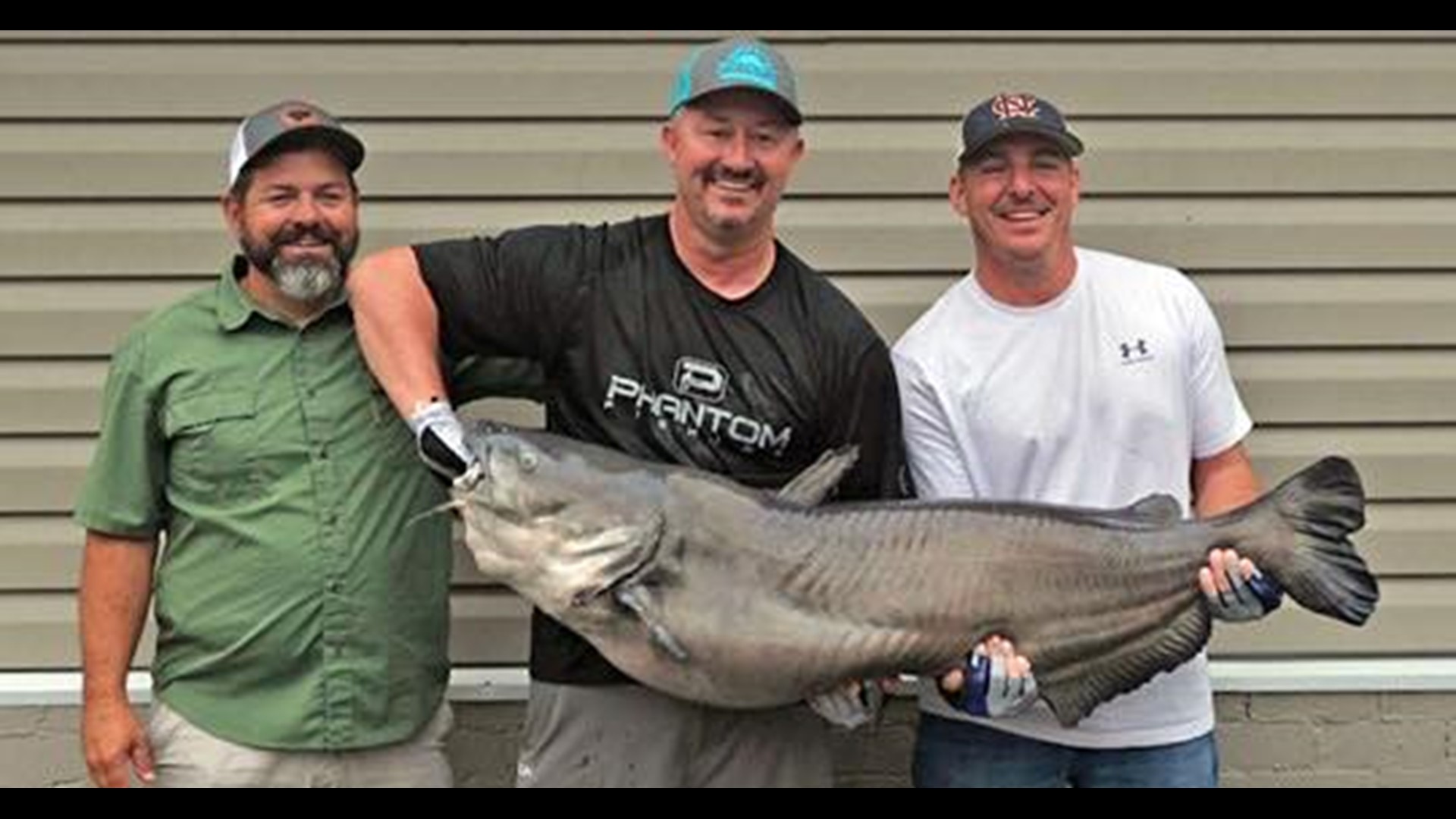 Nearly 80 pound catfish caught in SC | wltx.com