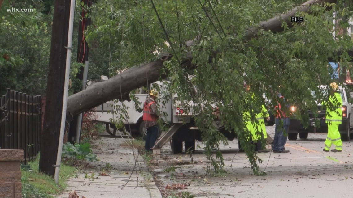 DOE awards SCEMD $2.4M for SRS emergency preparedness | wltx.com
