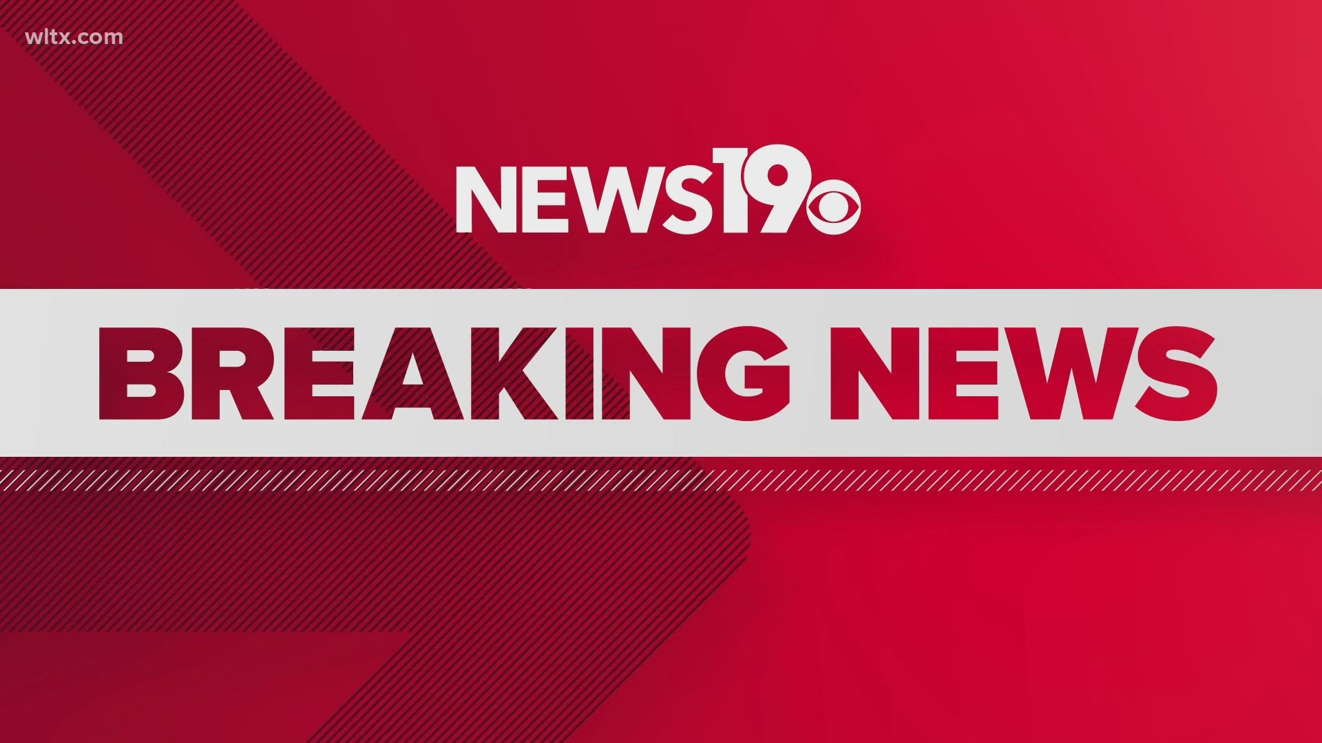 New South Carolina Elections commissioner appointed | wltx.com