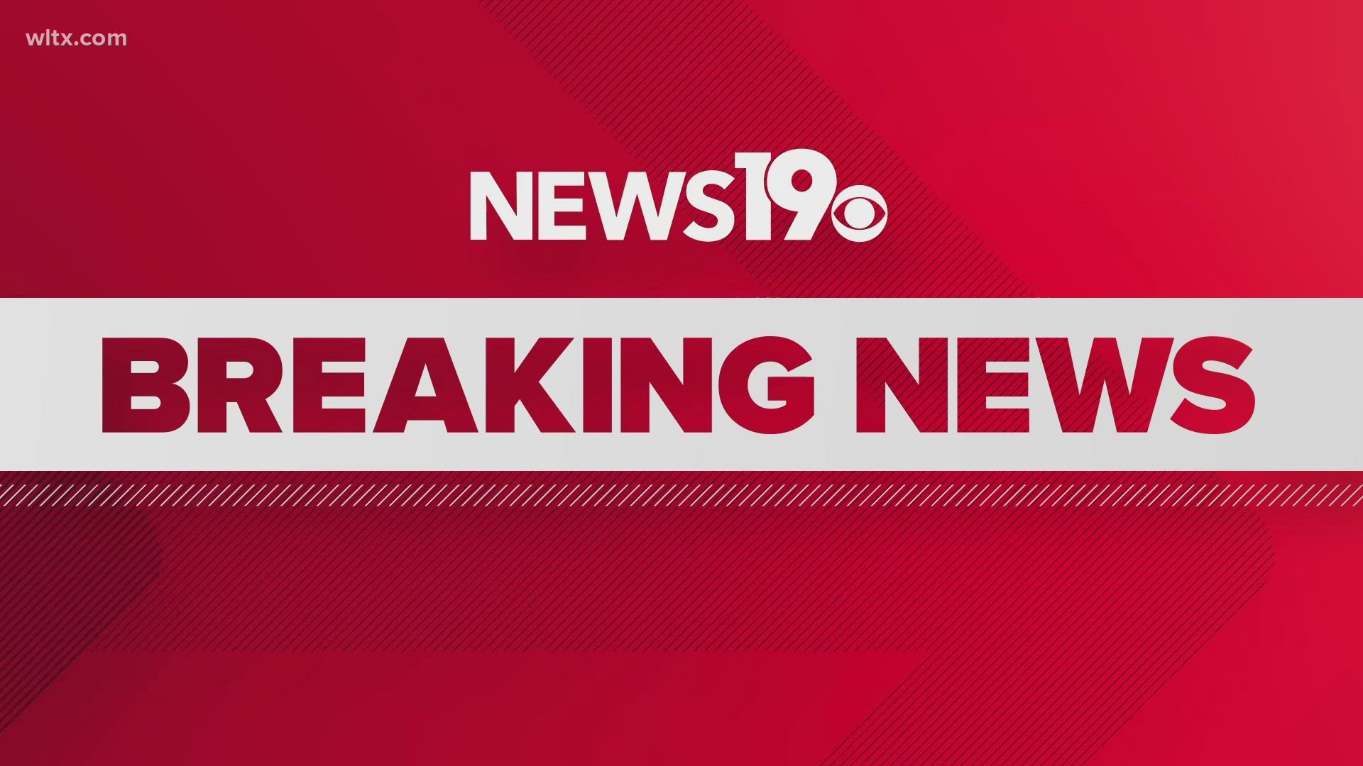 Lexington County woman and boyfriend arrested on animal cruelty ...