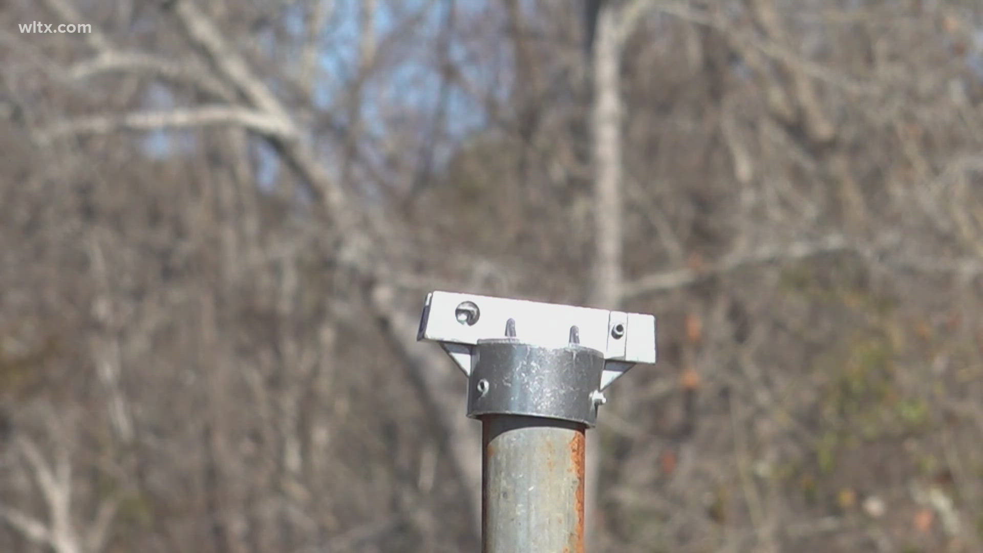 Stolen road signs raise safety concerns in Lee County | wltx.com