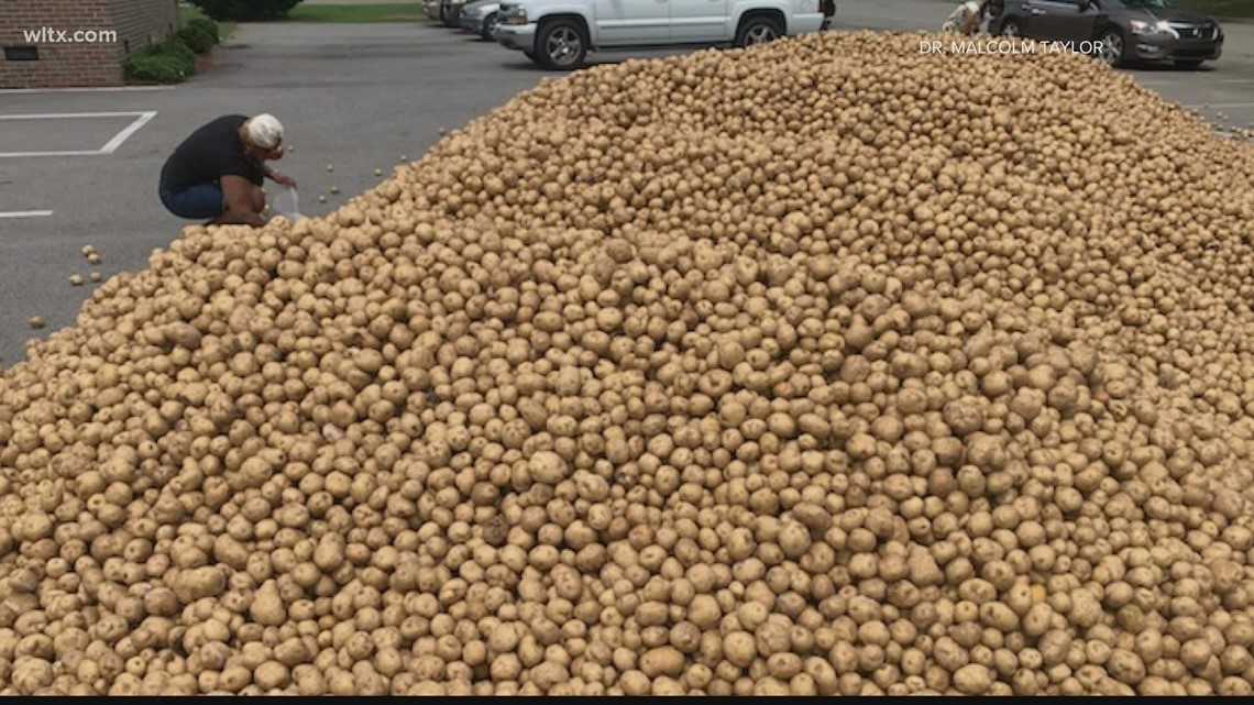 Thousands of potatoes donated by Hopkins pastor | wltx.com