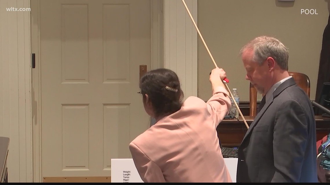 Testimony on gunshot wounds on victims during Murdaugh murder trial ...
