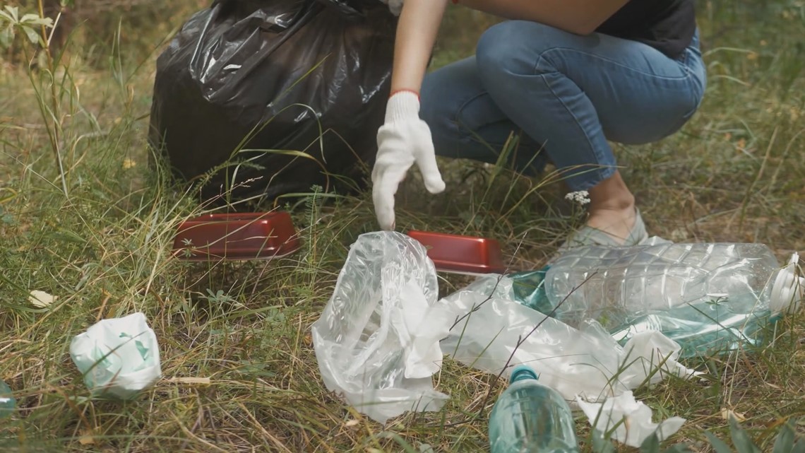 Sumter County looking for volunteers to clean up litter | wltx.com