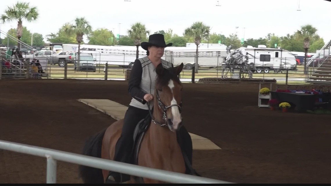 Puerto Rican Paso Fino horses at the SC State Fair | wltx.com