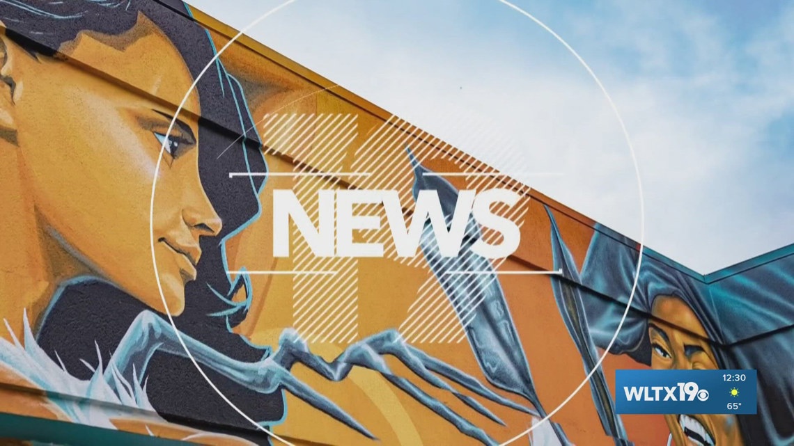 News19 at 12:30 p.m.: November 4 | wltx.com