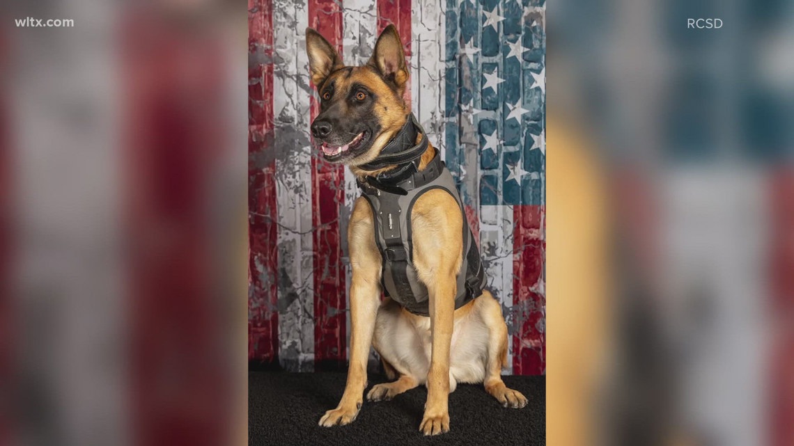 Sheriff gives update on death of Richland County K9 Bumi | wltx.com