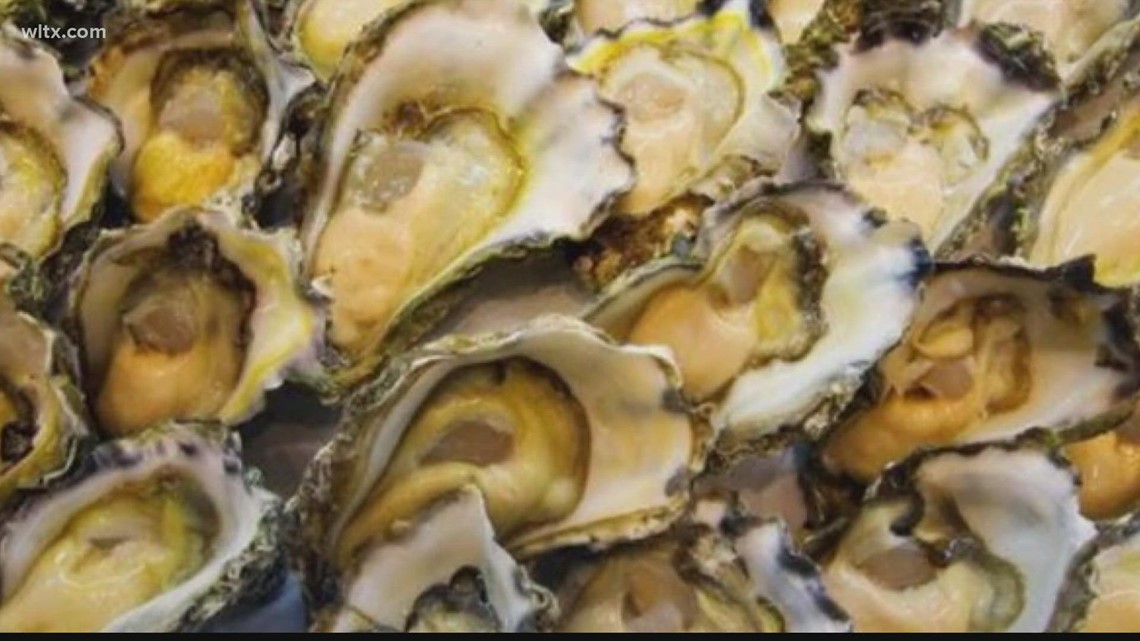 South Carolina shellfish harvest season set to open October 1 | wltx.com