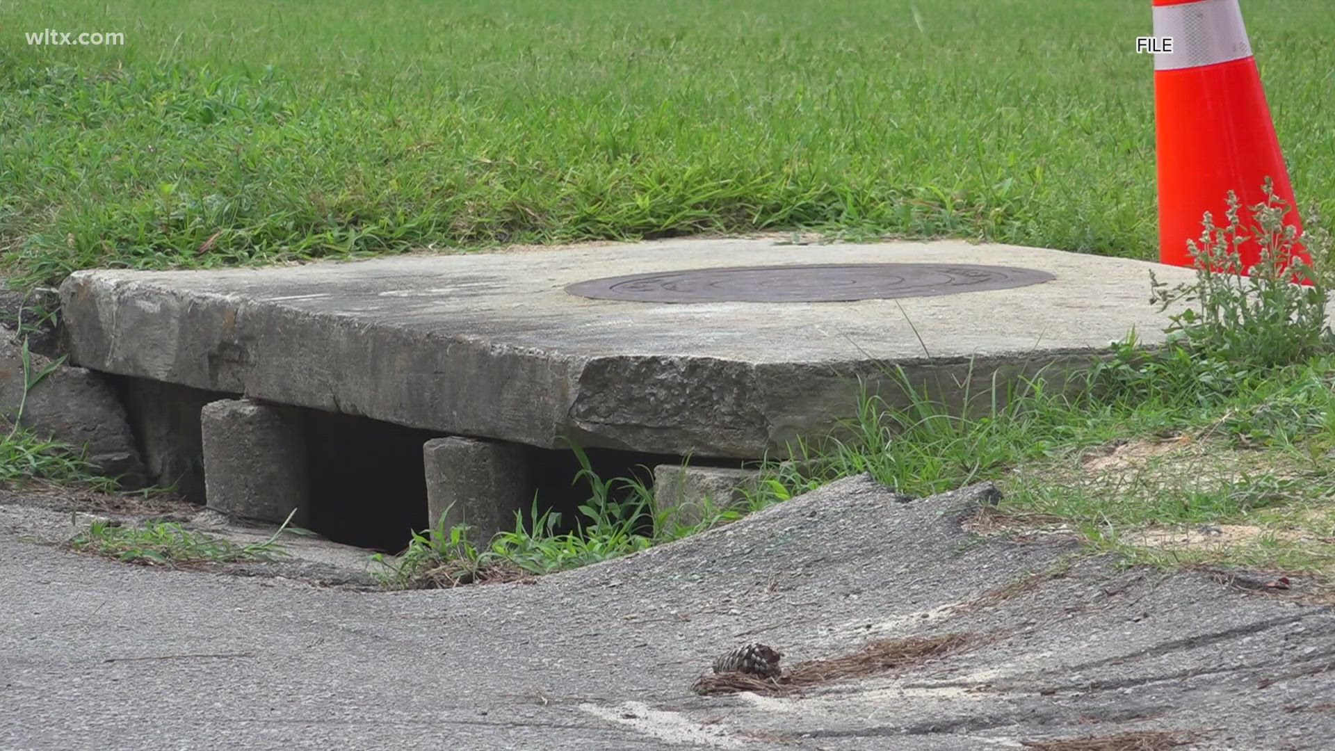 Register for the 2024 Walk for Life in Columbia | wltx.com