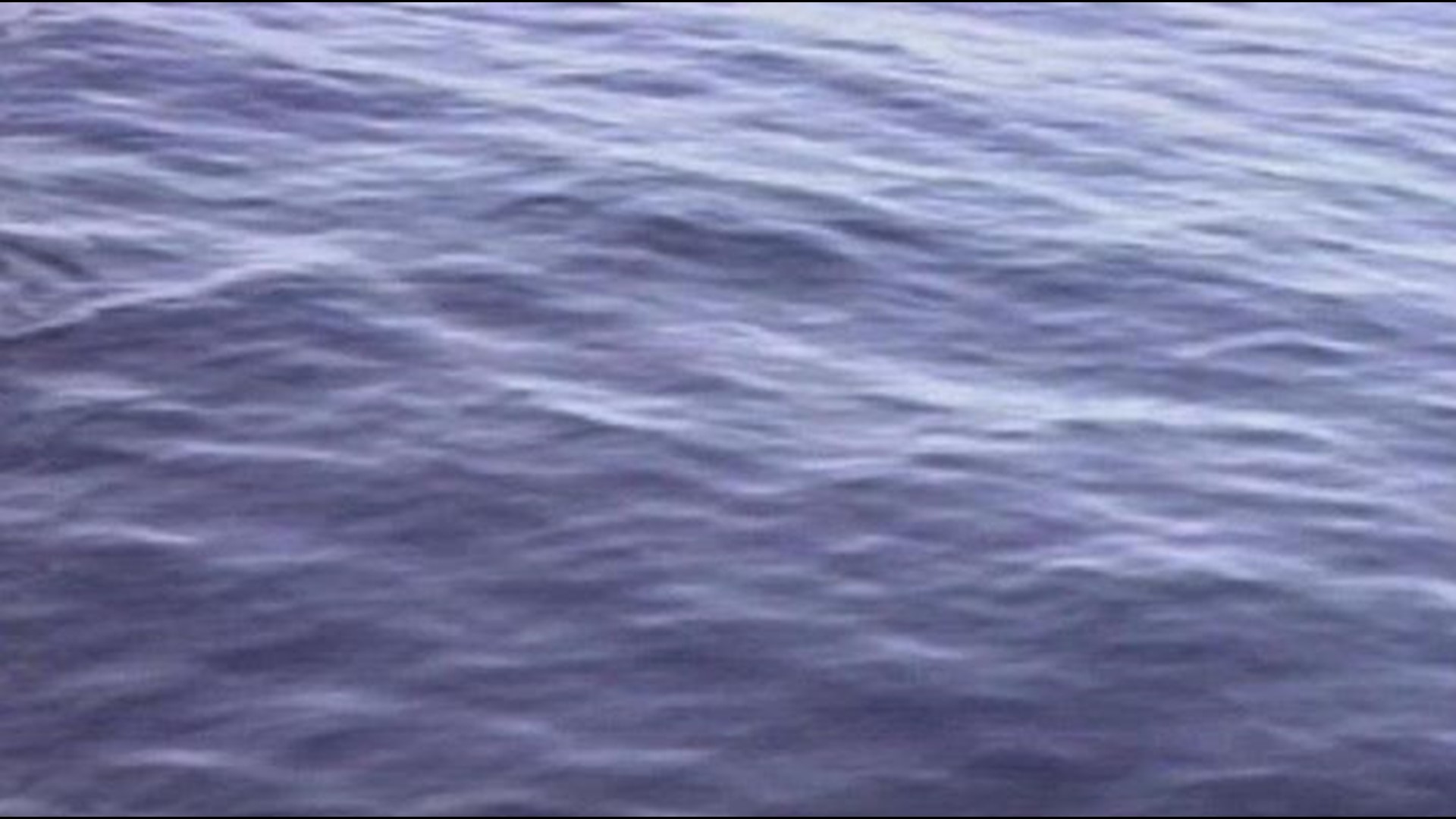 Berkeley County deputies, Coast Guard search for diver at Bushy Park ...